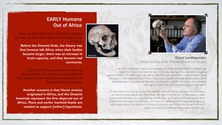 Dmanisi | PDF