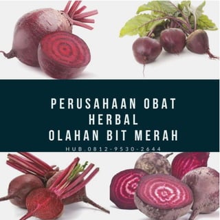 Obat Herbal Pencegah Stroke, Obat Herbal Menurunkan Berat Badan, Obat ...