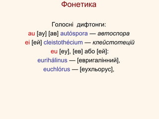лекция 07 1 latin phonetics | PPT