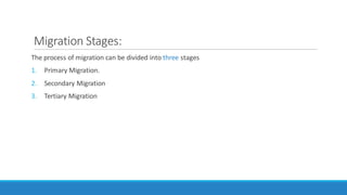 Hydrocarbons Migration | PDF