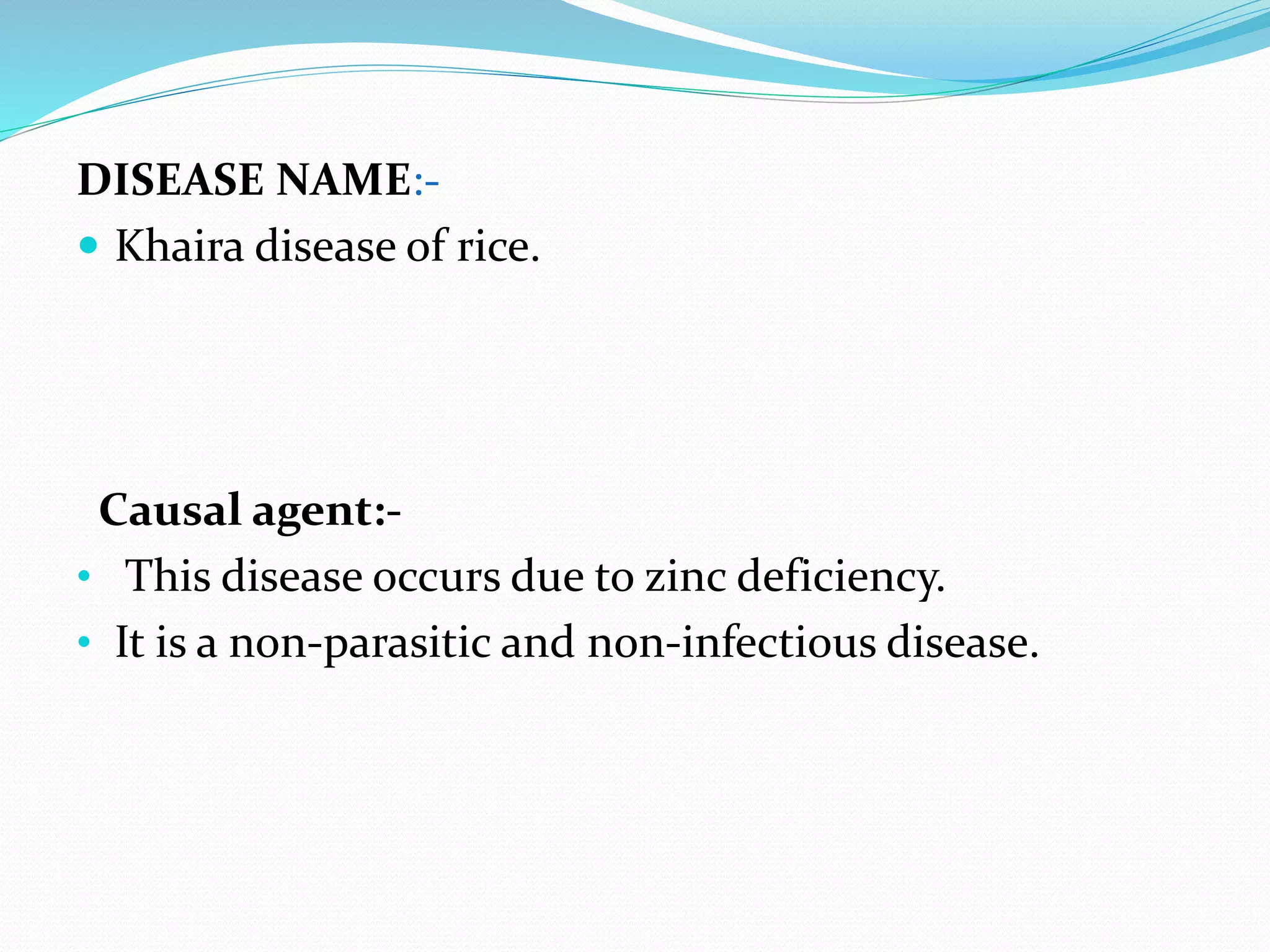 KHAIRA DISEASE AND TUNGRO DISEASE OF RICE | PPTX