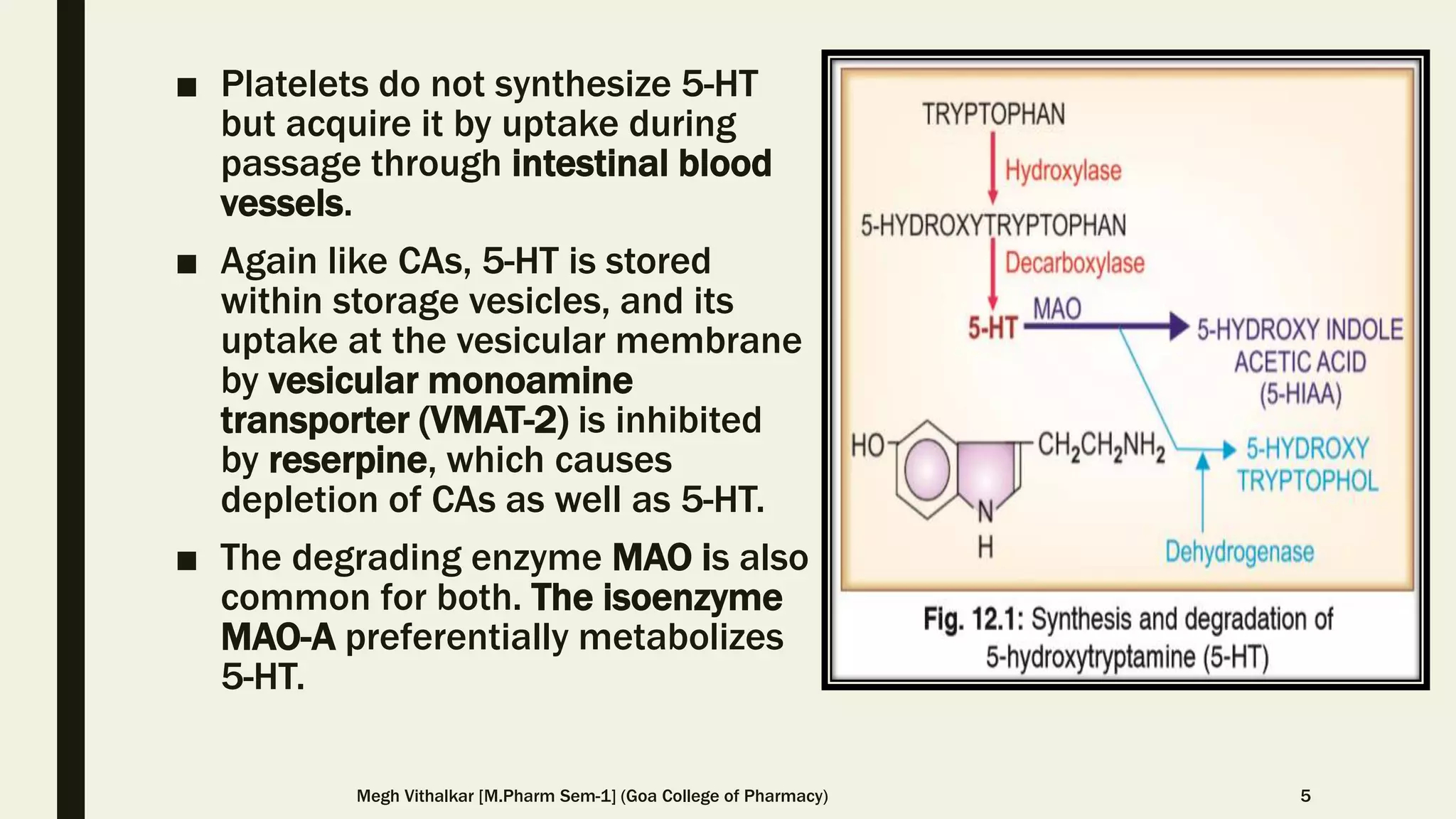Serotonin Pharmacology (5-HT) [Neurotransmitter] | PPTX