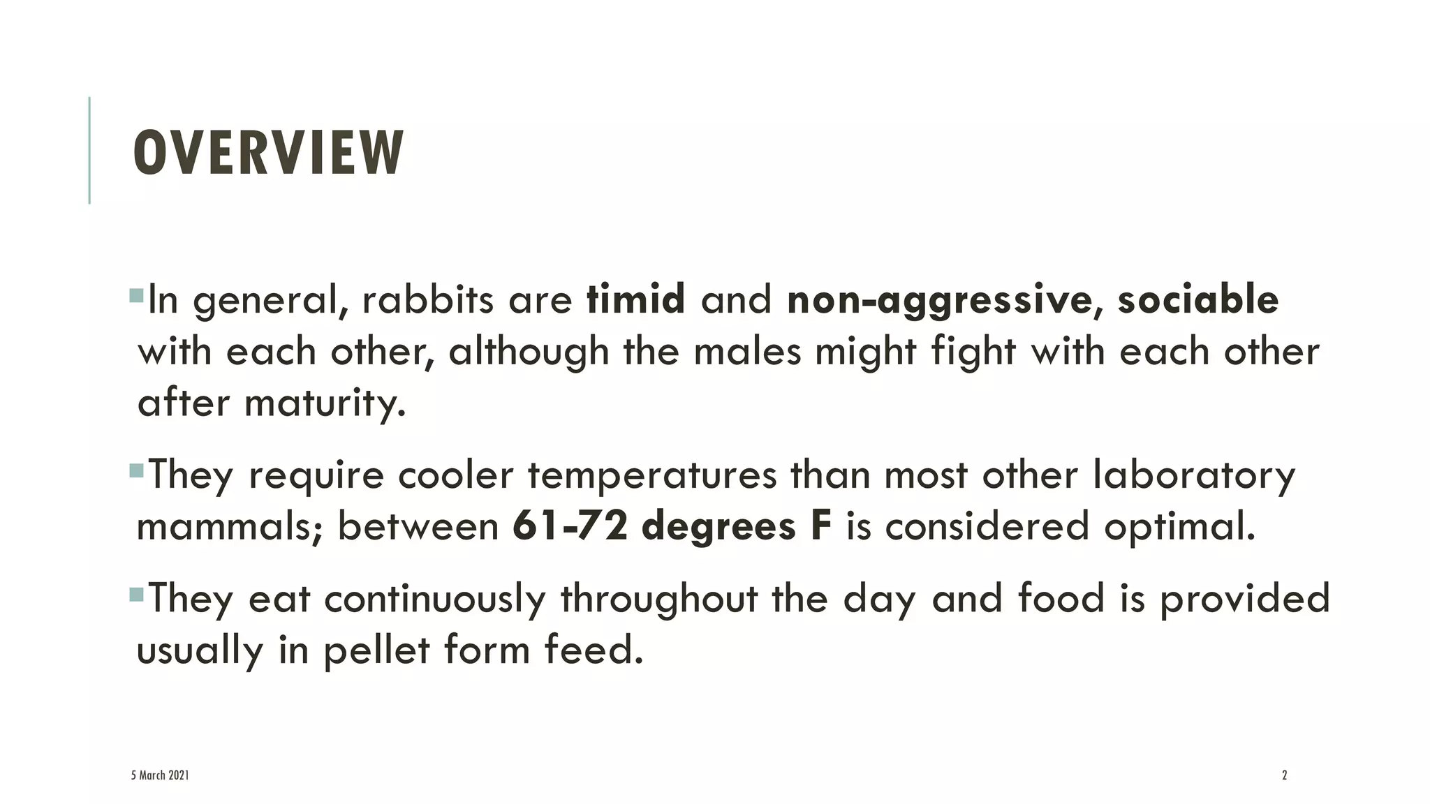 Rabbit as a Laboratory Animal. | PDF