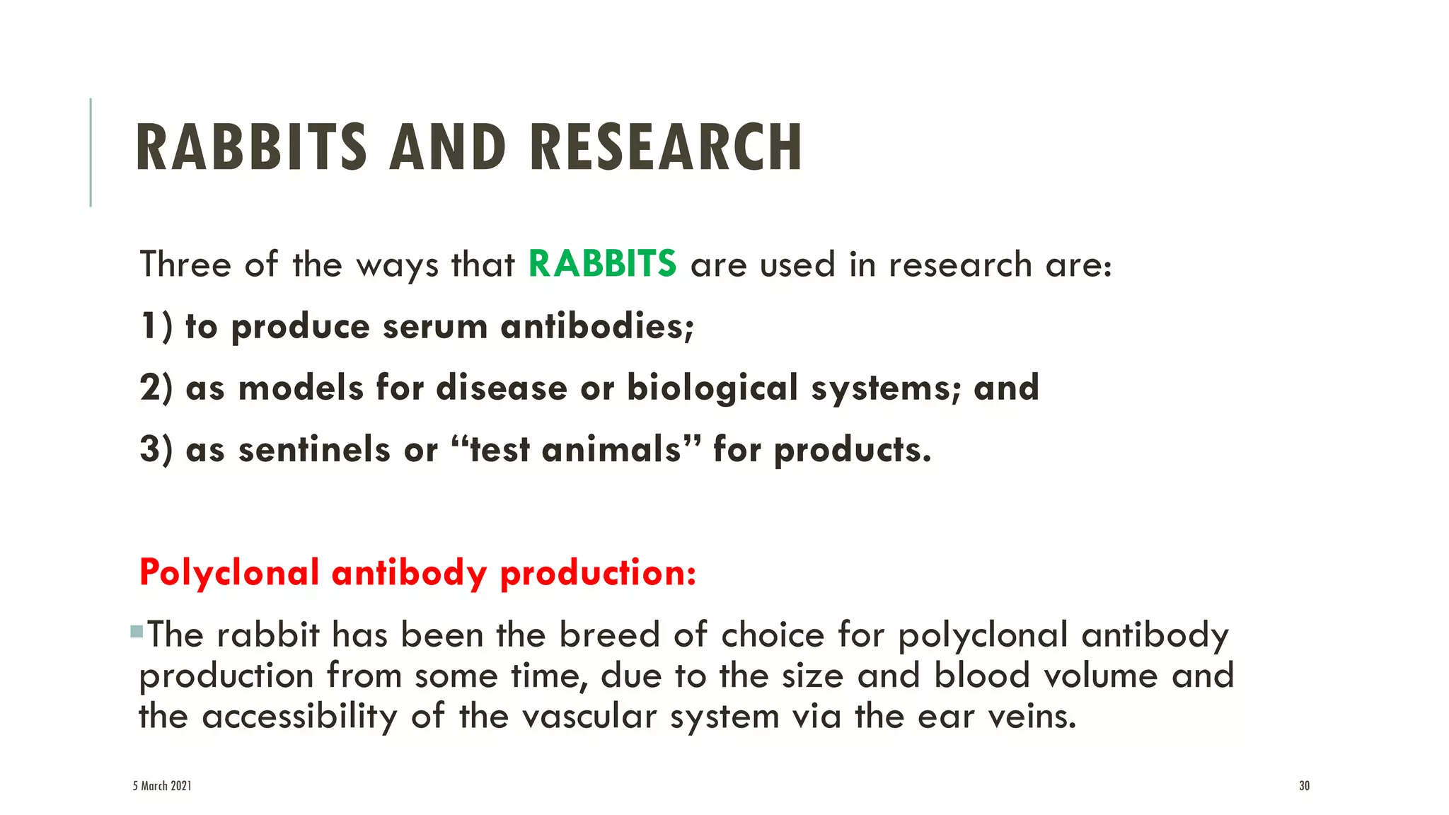 Rabbit as a Laboratory Animal. | PDF