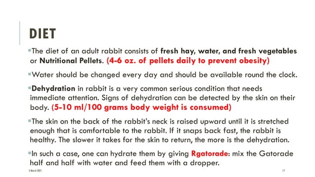 Rabbit as a Laboratory Animal. | PDF | Nutrition | Healthy Living