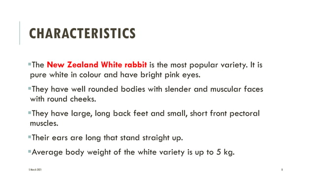 Rabbit as a Laboratory Animal. | PDF | Nutrition | Healthy Living