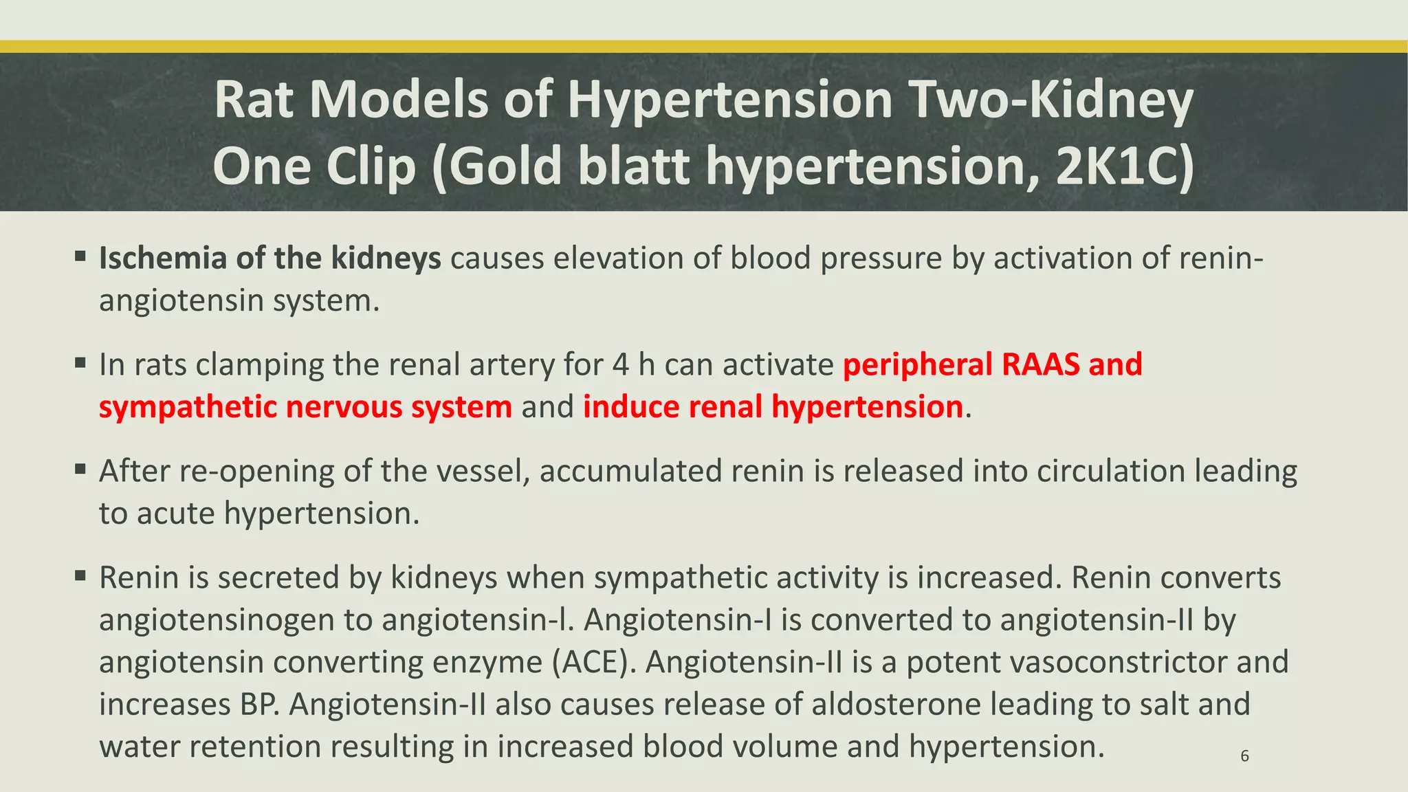 Animal Models for anti-hypertensive Drugs | PPTX