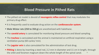 Animal Models for anti-hypertensive Drugs | PPTX