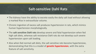 Animal Models for anti-hypertensive Drugs | PPTX