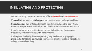"Functions of Lipids" ~ Cellular and Molecular Pharmacology | PPTX