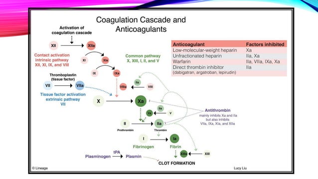 Heparin: Source, Structure, Chemistry, MOA and Uses | PDF | Blood ...