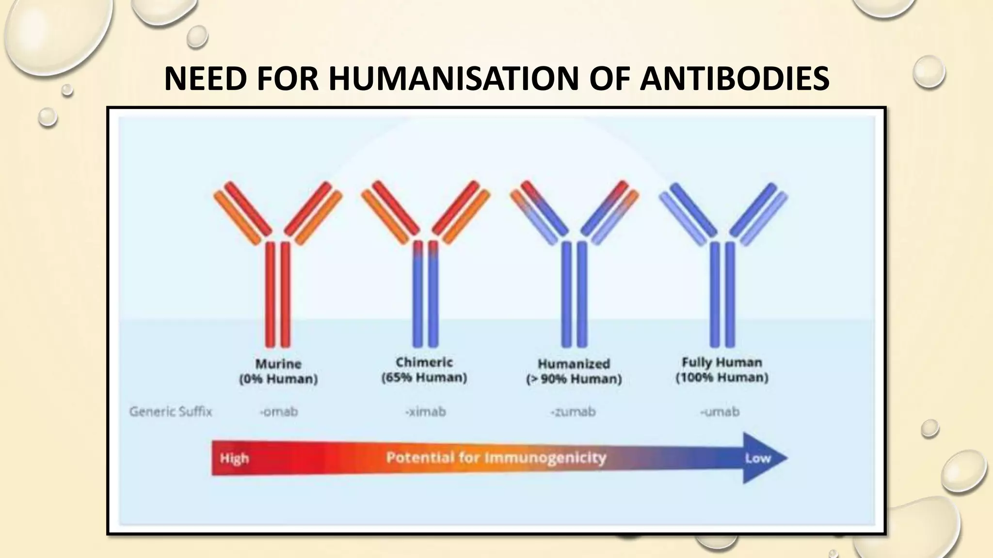 Humanisation of antibodies and Techniques | PPTX