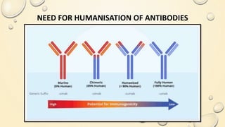 Humanisation of antibodies and Techniques | PPTX