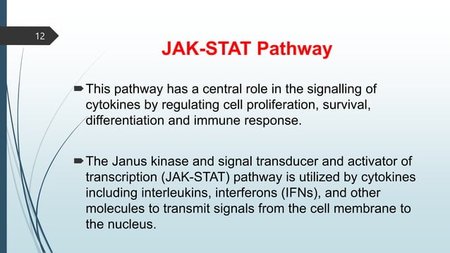 JAK-STAT Signalling Pathway | PPTX