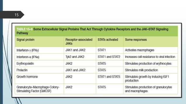 JAK-STAT Signalling Pathway | PPTX