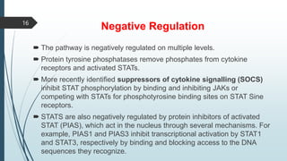 JAK-STAT Signalling Pathway | PPTX