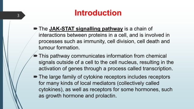 JAK-STAT Signalling Pathway | PPTX