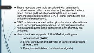 JAK-STAT Signalling Pathway | PPTX