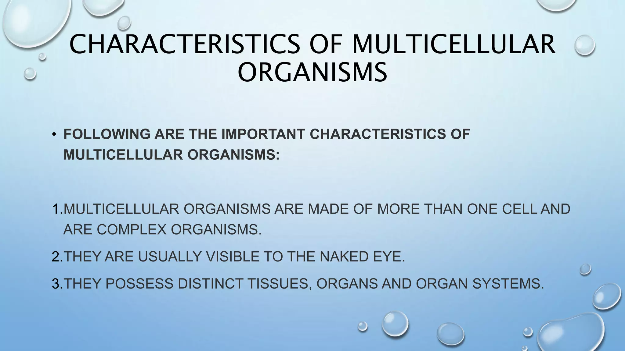 Multicellular Organisms Pharmacology | PPT