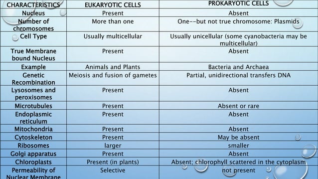 Multicellular Organisms Pharmacology | PPT