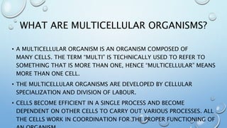 Multicellular Organisms Pharmacology | PPT