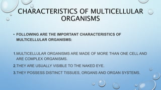 Multicellular Organisms Pharmacology | PPT