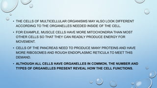 Multicellular Organisms Pharmacology | PPT