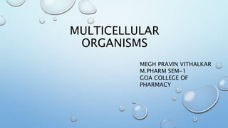 Multicellular Definition For Kids