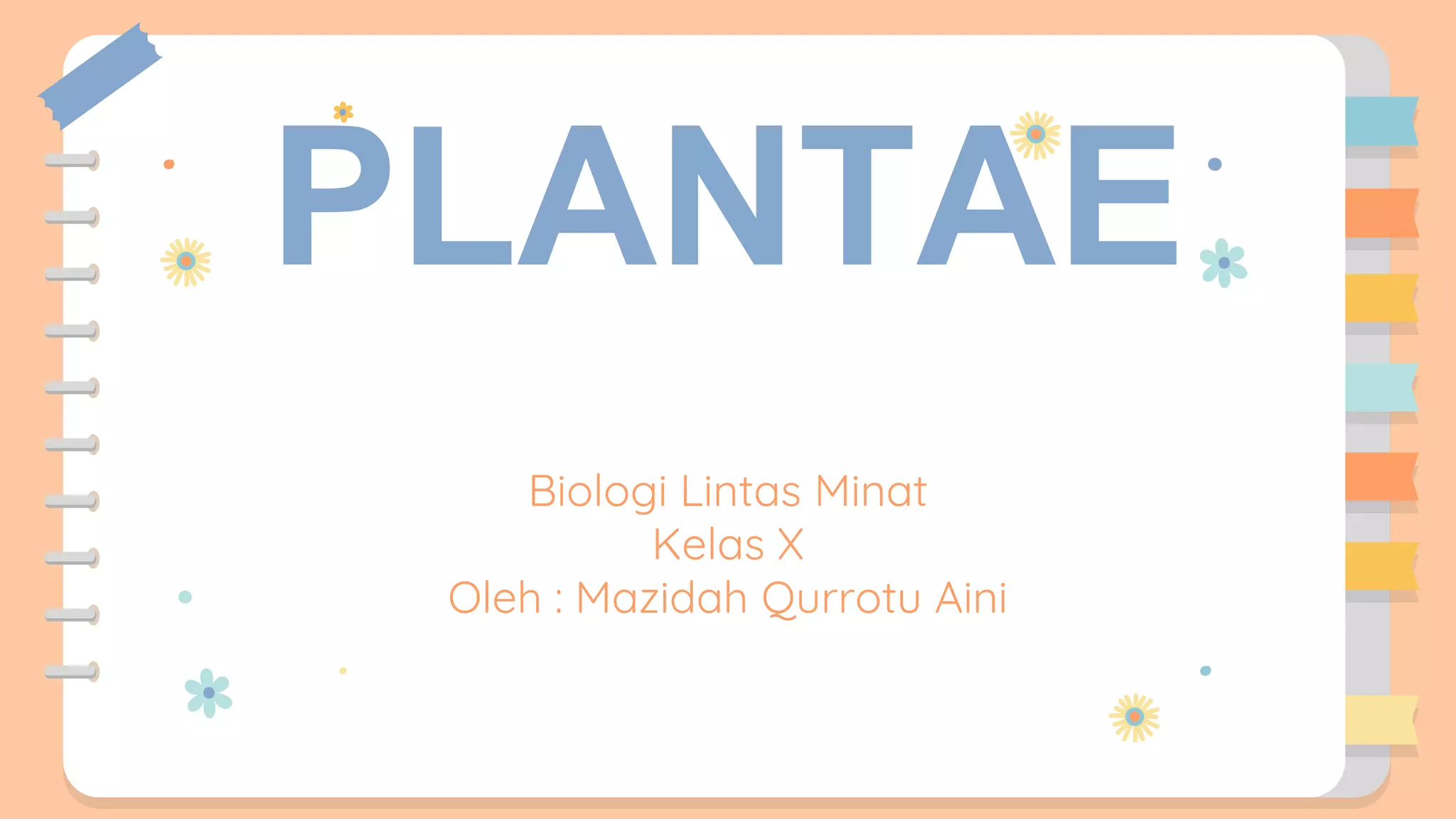 07. PLANTAE.pptx