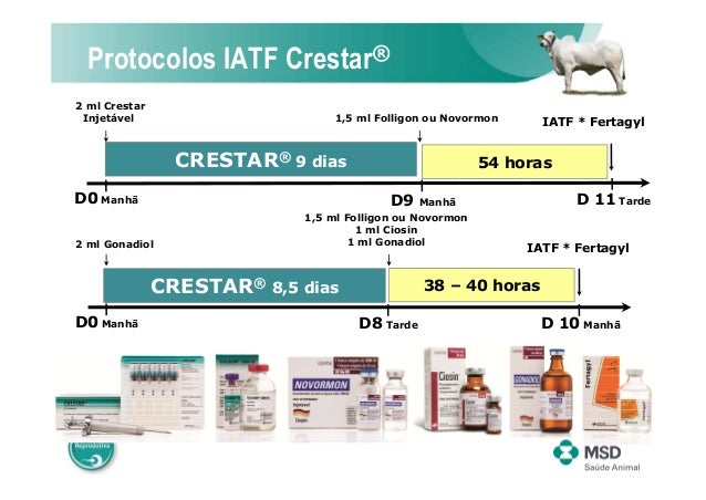 07 apresentação crestar-2013_beef point sp material.pptx