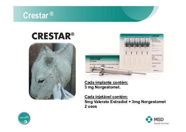 07 apresentação crestar-2013_beef point sp material.pptx