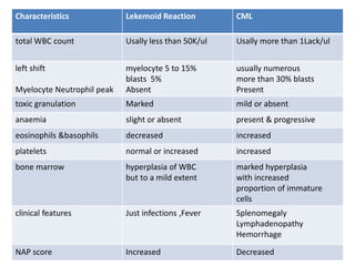 AML CML: How Are These Leukemia Types Different?, 50% OFF