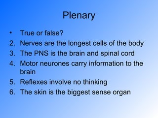 07 Co Ordination And Homeostatis | PPT | Free Download