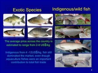 Regional Workshop on Underutilized Fish and Marine Genetic Resources ...