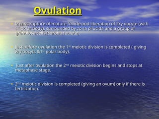 07-female reproductive system 120.powerpoint | PPT