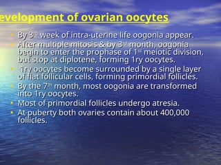 07-female reproductive system 120.powerpoint | PPT
