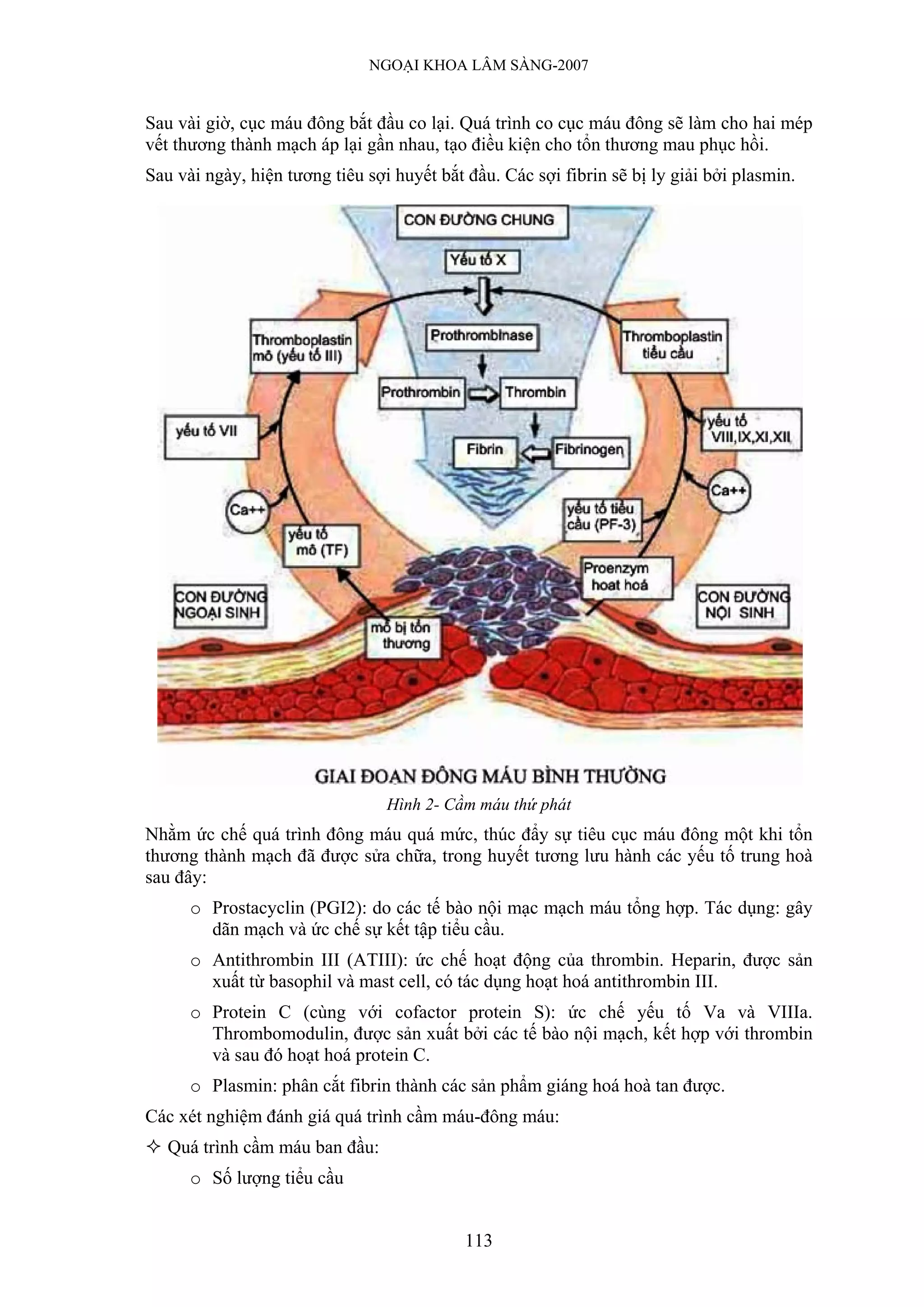 07 huyet hoc 2007 | PDF