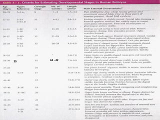07 - mesodermal developmental biology.ppt
