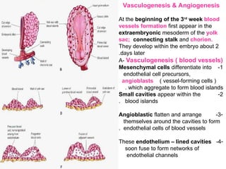 07 - mesodermal developmental biology.ppt