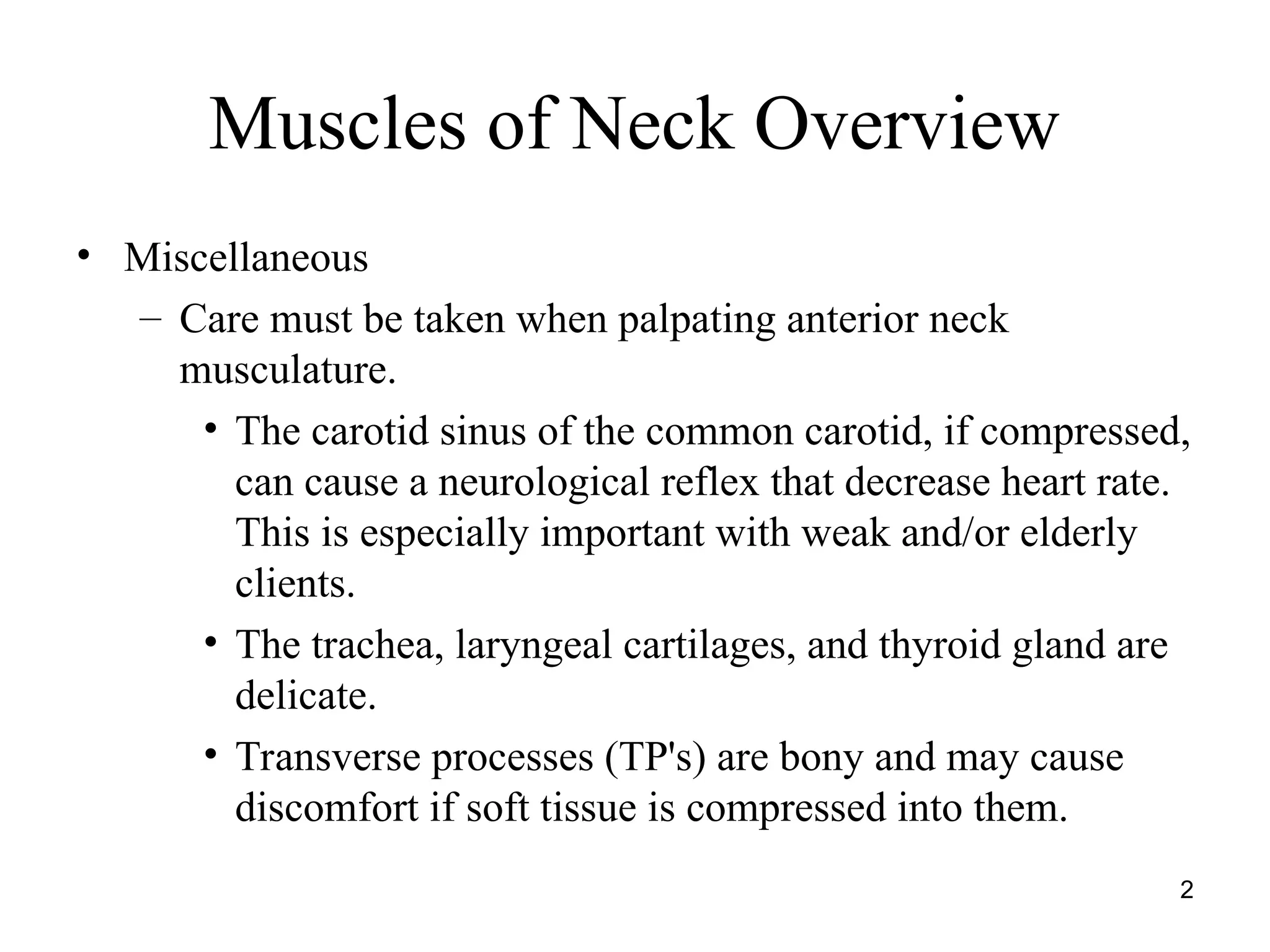 07-Muscles-of-Posterior-Neck-1.ppt insertion amd origine | PPT