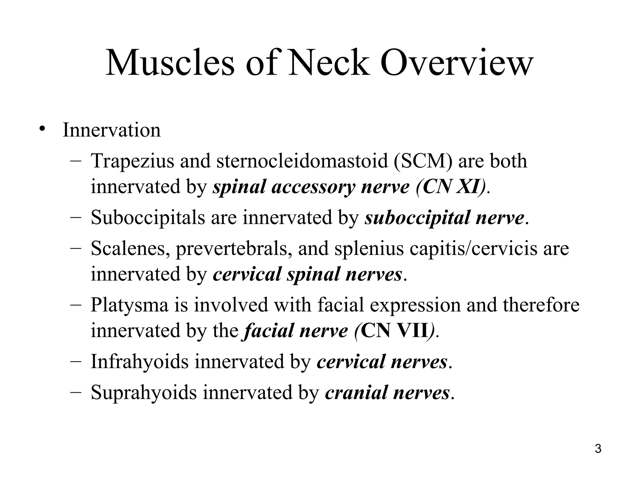 07-Muscles-of-Posterior-Neck-1.ppt insertion amd origine | PPT