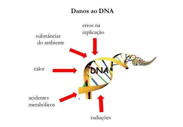 07 mutação e reparo do dna