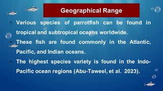 07-parrotfish. Parrotfish are vibrantly colored fish . • They are named ...