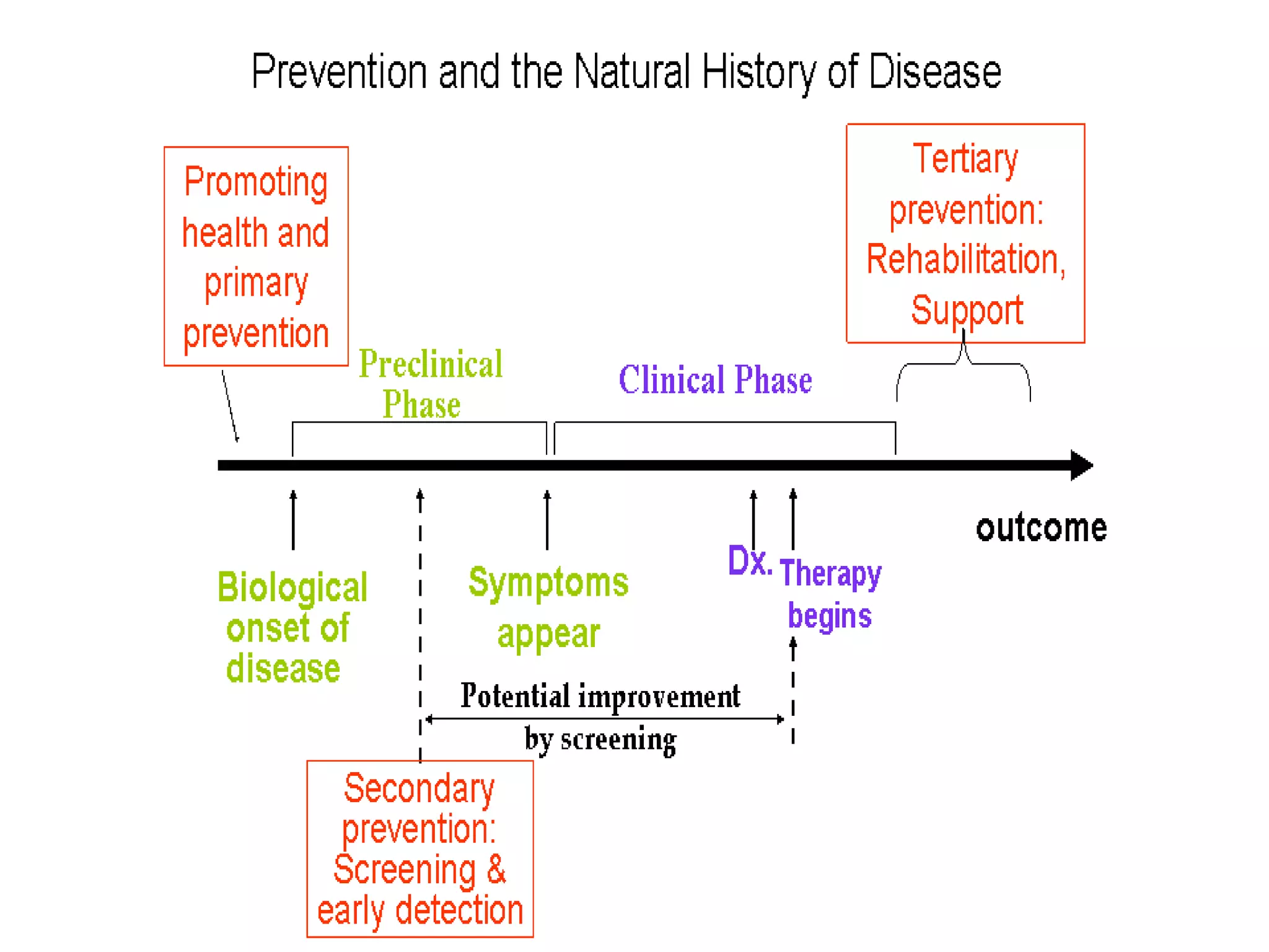 Prevention Levels to Control Disease | PPTX