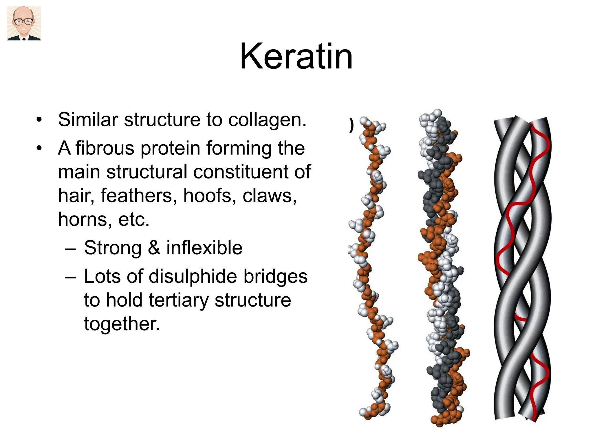 Biology-lesson -Edexcel-ALevel-proteins-pdf | PDF