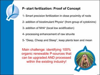 Precision fertilization with renewable phosphorus sources for ...