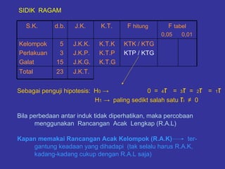 07. rak | PPT