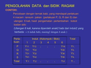 07. rak | PPT