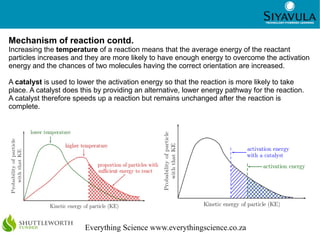 Rate and extent of reaction | ODP