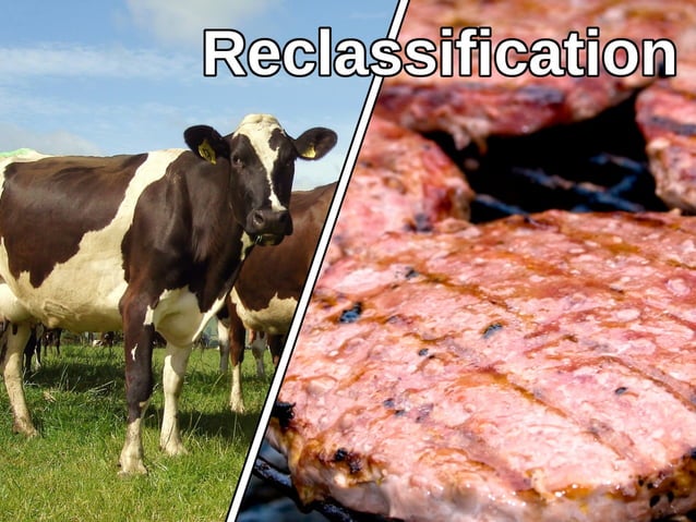 Reclassification | PPT